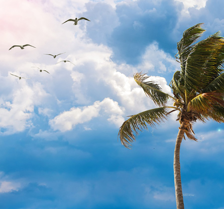 Venus Condominiums | Venus By The Sea | Fort Walton Beach Florida
